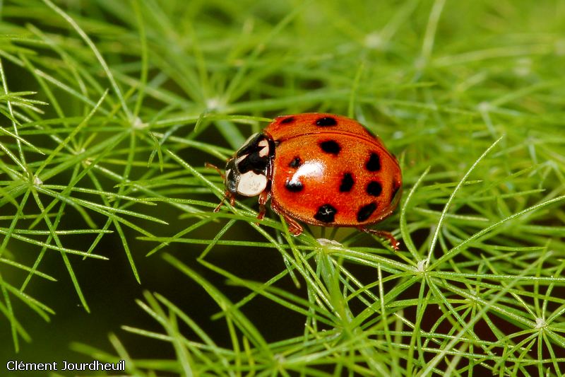la-photo-nature.com - Bienvenue