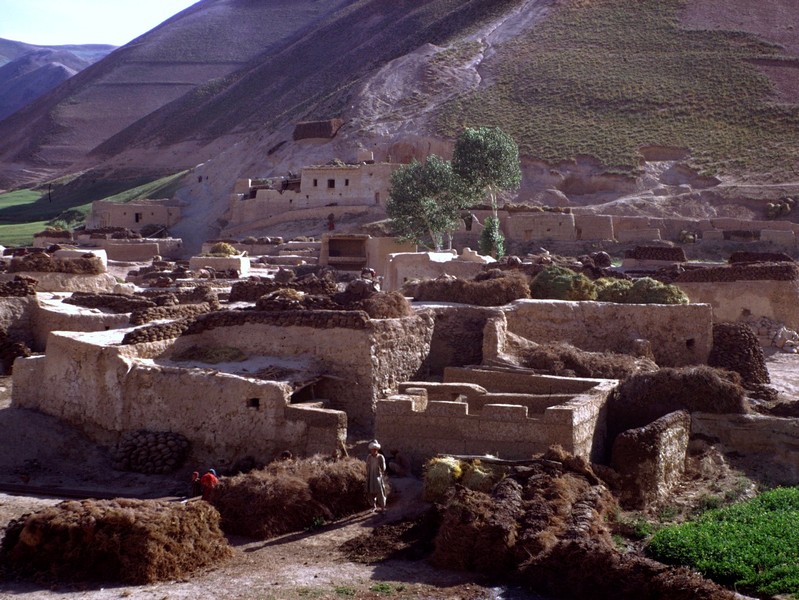 la-photo-nature.com - Bienvenue